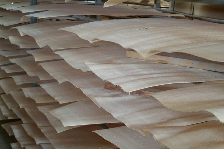 Furniere: Arten, Herstellung und Verwendung » bauredakteur.de